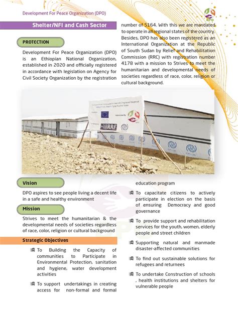 Shelter And Nfi Pdf