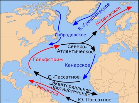 Моря Северного Ледовитого океана Фото обитатели течения соленость