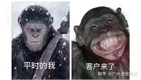房产经营贷，如何有效避免抽贷（收藏篇） 知乎