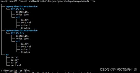 FISCO BCOS v3 x 多群组区块链Pro版本搭建说明ubuntu fisco 多链 CSDN博客