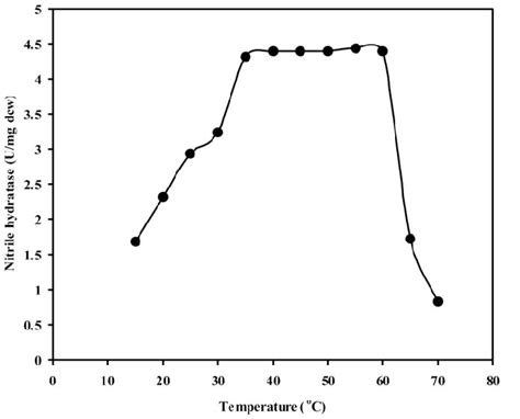 Effect Of Temperature On Nitrile Hydratase Activity Of R Rhodochrous