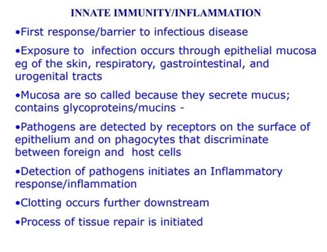 Innate Immunity Flashcards Quizlet