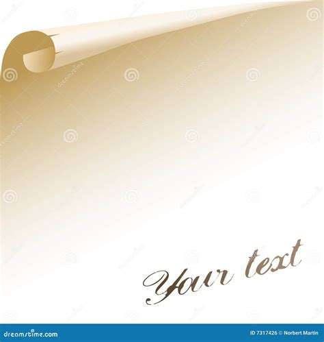 Paper Page With Curl Stock Vector Illustration Of Canvas