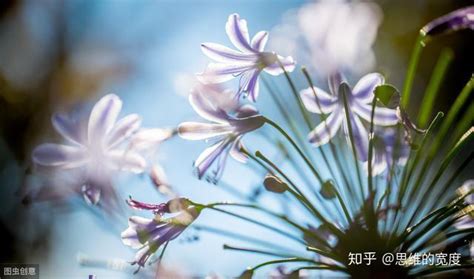 文学创作：意境是什么，怎么才能与读者产生共鸣？ 知乎