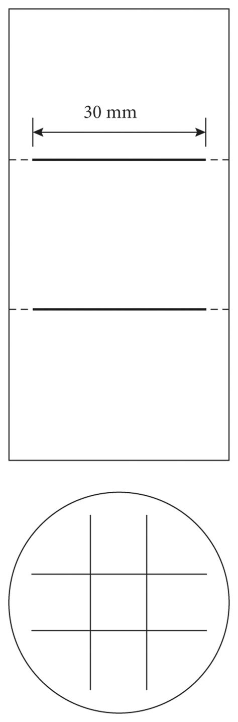 The Distribution Of Different Numbers Of Roots A 4 Roots In The Download Scientific Diagram