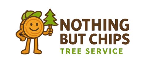 Understanding Tree Rot Causes And Consequences Nothing But Chips