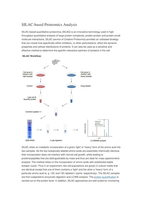 Ppt Silac Based Quantitative Proteomics Silaq Powerpoint