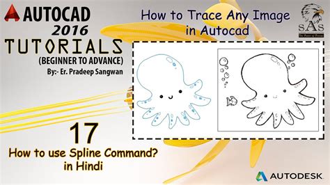 Autocad 2016 Tutorial For Beginners 17 How To Use Spline Command
