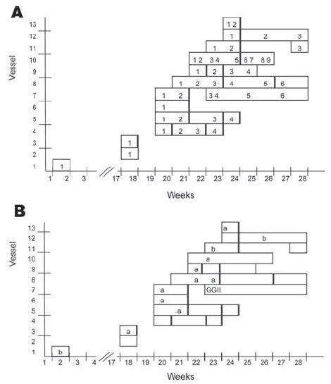 Number Of Outbreaks A And Causative Genotypes B For Cruise Related