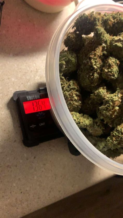 Blue Raspberry Truffle R Growbuddy