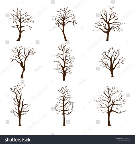 Set Different Trees Without Leaves Autumn Stock Vector Royalty Free Shutterstock
