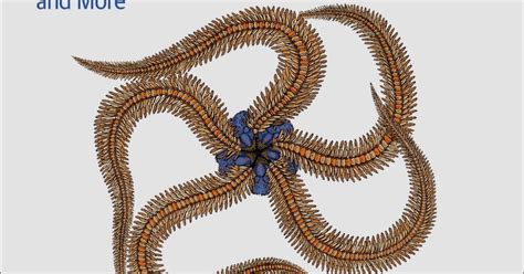 Developing Apps With Gpt 4 And Chatgpt 2nd Edition Build Intelligent