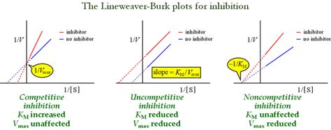 Competitive Inhibition Equation
