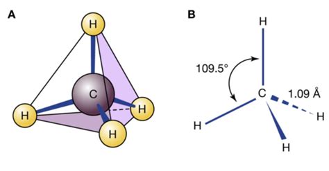Vsepr And Molecular Geometry Flashcards Quizlet