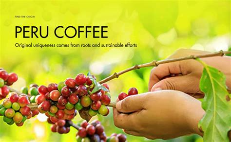 Peru Coffee - Original uniqueness comes from roots and sustainable efforts