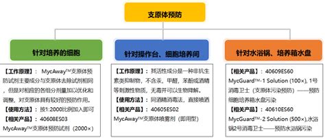 细胞支原体污染处理新思路支原体检测预防去除一步到位