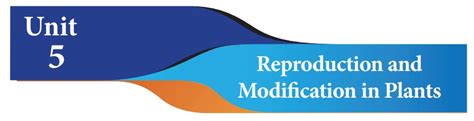 Reproduction And Modification In Plants Term 1 Unit 5 7th Science