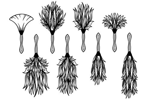 Free Feather Duster Vector 122030 Vector Art At Vecteezy