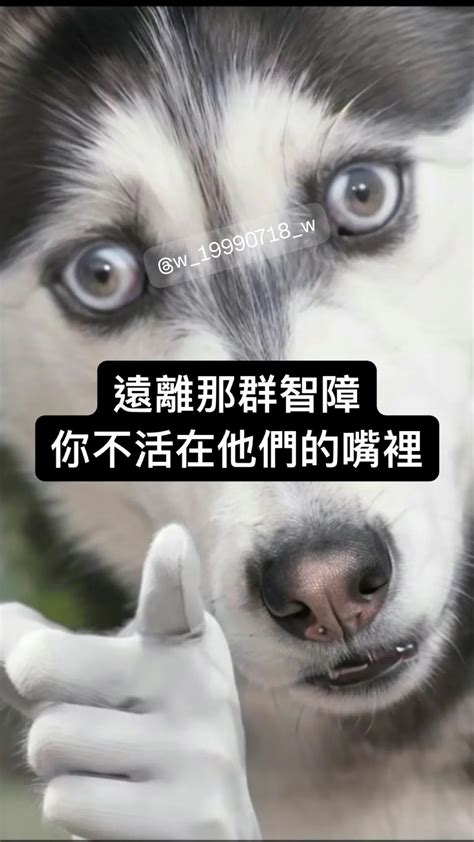 多數人只知道自己不喜歡什麼 較少人知道自己真正喜歡什麼 因此大部分的所謂的幸福 其實只是消除自己的不幸 不一定是真的做自我實現 做自己喜歡的