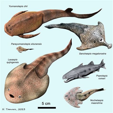 Pin By Lukáš Laibl On Extinct Organisms Prehistoric Animals Ancient