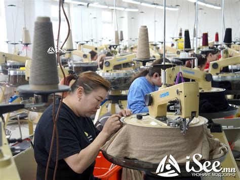 European Bank Монгол Улсын ноолуурын салбар дотоодын эдийн засагт жил бүр 1 5 тэрбумын орлого