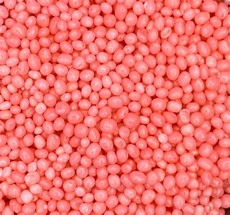 Bits Candy Bubble Gum 2lb Bag By Pucker Powder Grocery