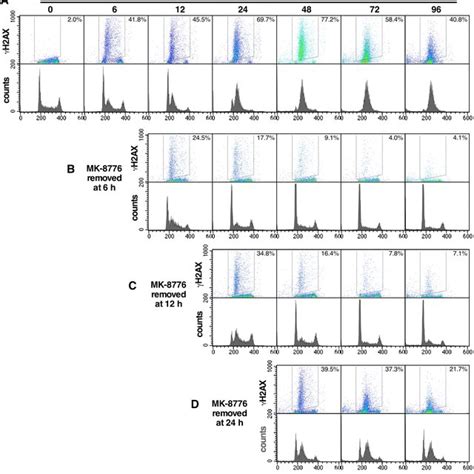 Recovery Of AsPC Cells From Incubation With MK A AsPC Cells Download Scientific
