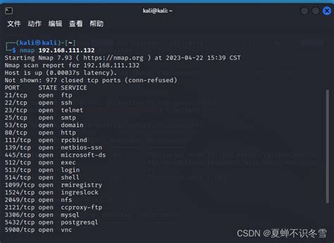 Kali利用ftp端口（21）漏洞攻击metasploitable2 Linux靶机（笑脸漏洞）vsftpd 222 漏洞 Csdn博客