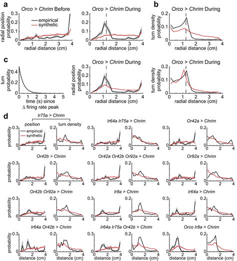 An Agent Based Model Of Flies Based On Locomotor Kinematics And Turn