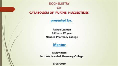 Catabolism Of Purine Nucleotides Ppt