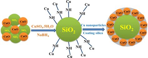 Formation Process Of Sio2cuo Coreshell Nanoparticles By Download