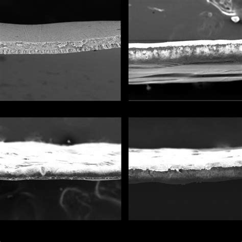 Sem Results For The Membrane Cross Section Of A Pvdf Pristine B Download Scientific