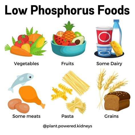 Foods High In Phosphorus For Humans At Harry Christopher Blog