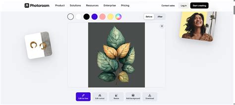 Photoroom Background Remover Review How It Works And Key Features