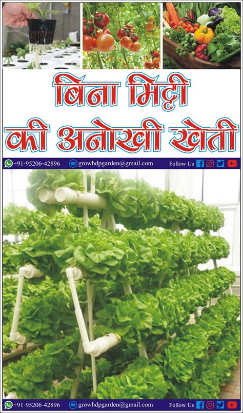 Grow Hydroponics Hydroponic Nutrients