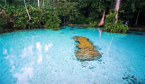 รวมรูปภาพของ ป่าต้นน้ำบ้านน้ำราด บลูลากูนเมืองสุราษฎร์ฯ แหล่งน้ำใสธรรมชาติที่ซ่อนอยู่กลางแมกไม้