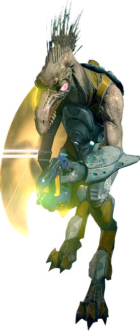 Halo Covenant Jackal