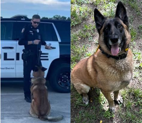 K9 Assisted Explosive Detection Kimmons Investigative Services Inc