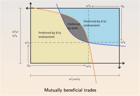 Topic 6 Lecture Notes Flashcards Quizlet