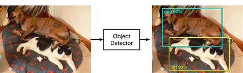Machine Learning By Tutorials Chapter 9 Beyond Classification Kodeco