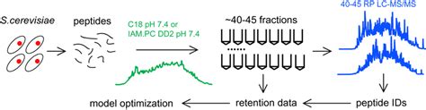 Overview Of The Experimental Procedure For The Large Scale Peptide Download Scientific Diagram