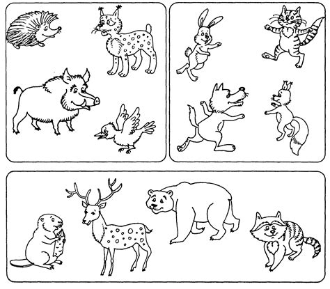 Дикие и домашние животные картинки для детей карточки раскраски Фотоподборки 1