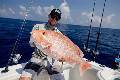 What To Know About Red Snapper Season 2024 Offshore