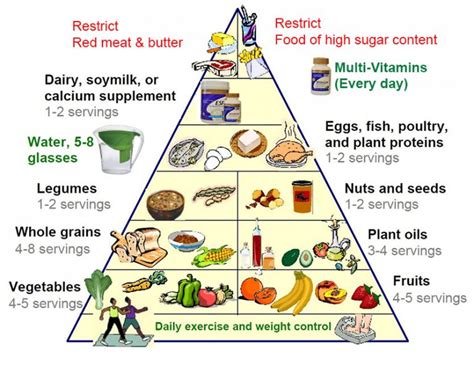Usda Food Pyramid 2024 Sile Yvonne