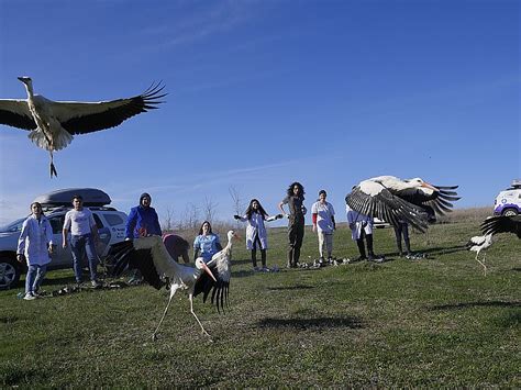 🫂🤩 5 ти декември е международен ден на доброволеца 😇Доброволец е този който по свое желание и