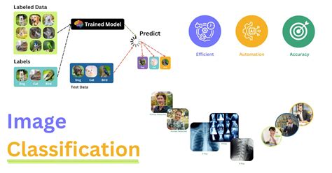 Understanding Image Classification Basics And Benefits Understanding Image Classification Basics And Benefits