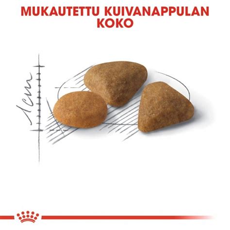 Royal Canin Savour exigent | Petenkoiratarvike