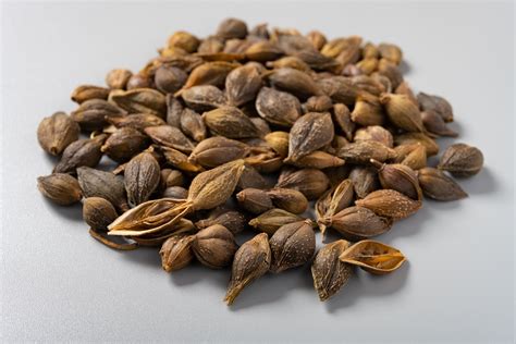 Supramolecular Solvent Based Extraction For Lignan Hplc Analysis In Forsythiae Fructus