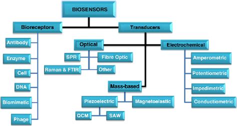 Classifications Of Biosensor Download Scientific Diagram