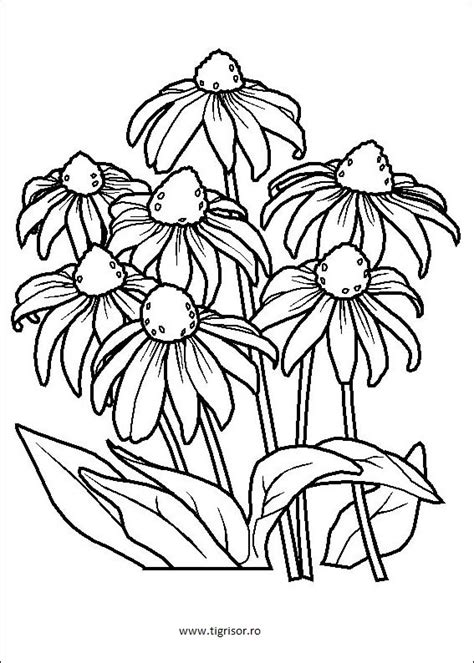 Plansa De Colorat Cu Flori Mari Planse De Colorat